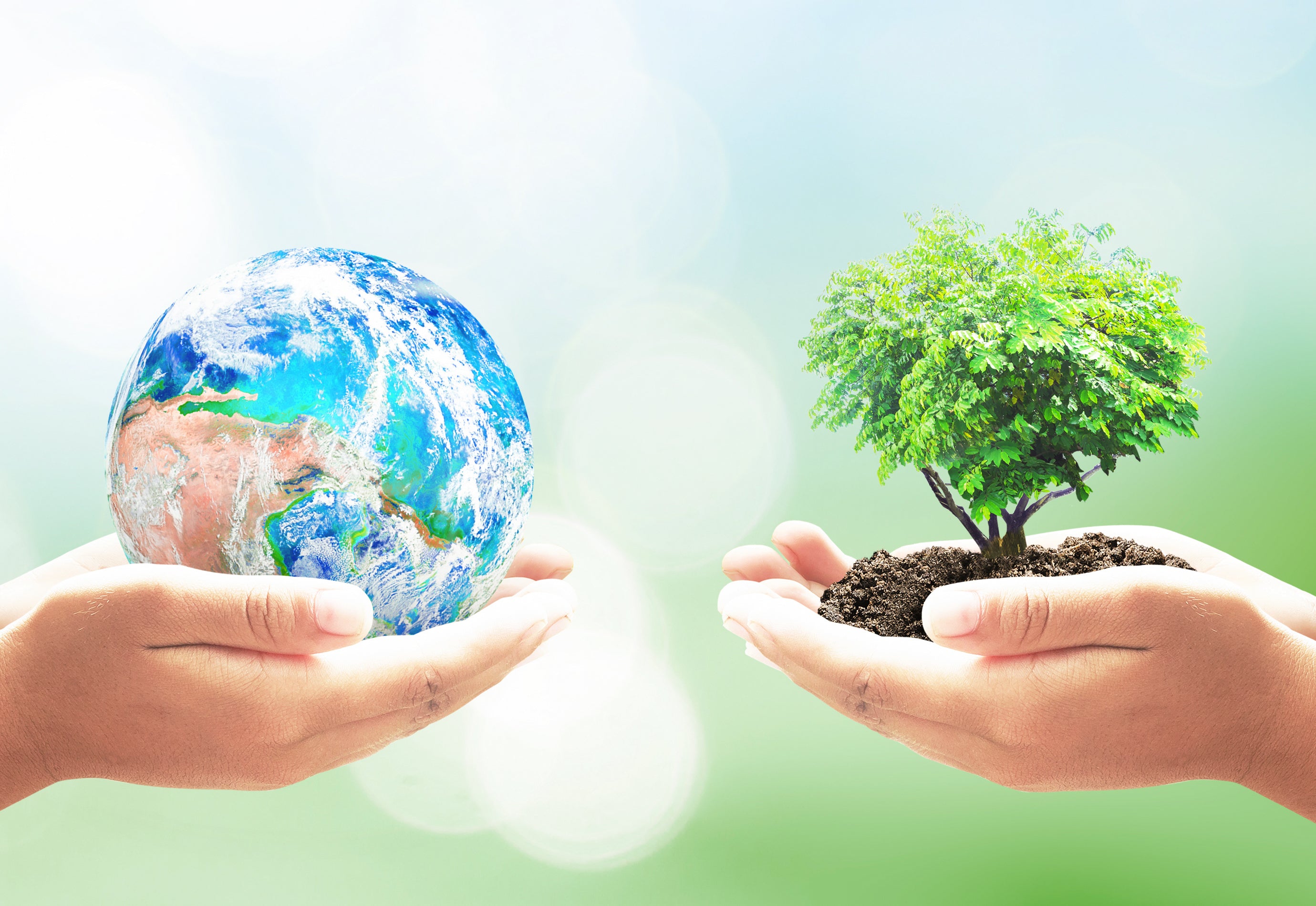 Endless Pastabilities #12 - Inspired by Earth Day – Protoplant, makers ...